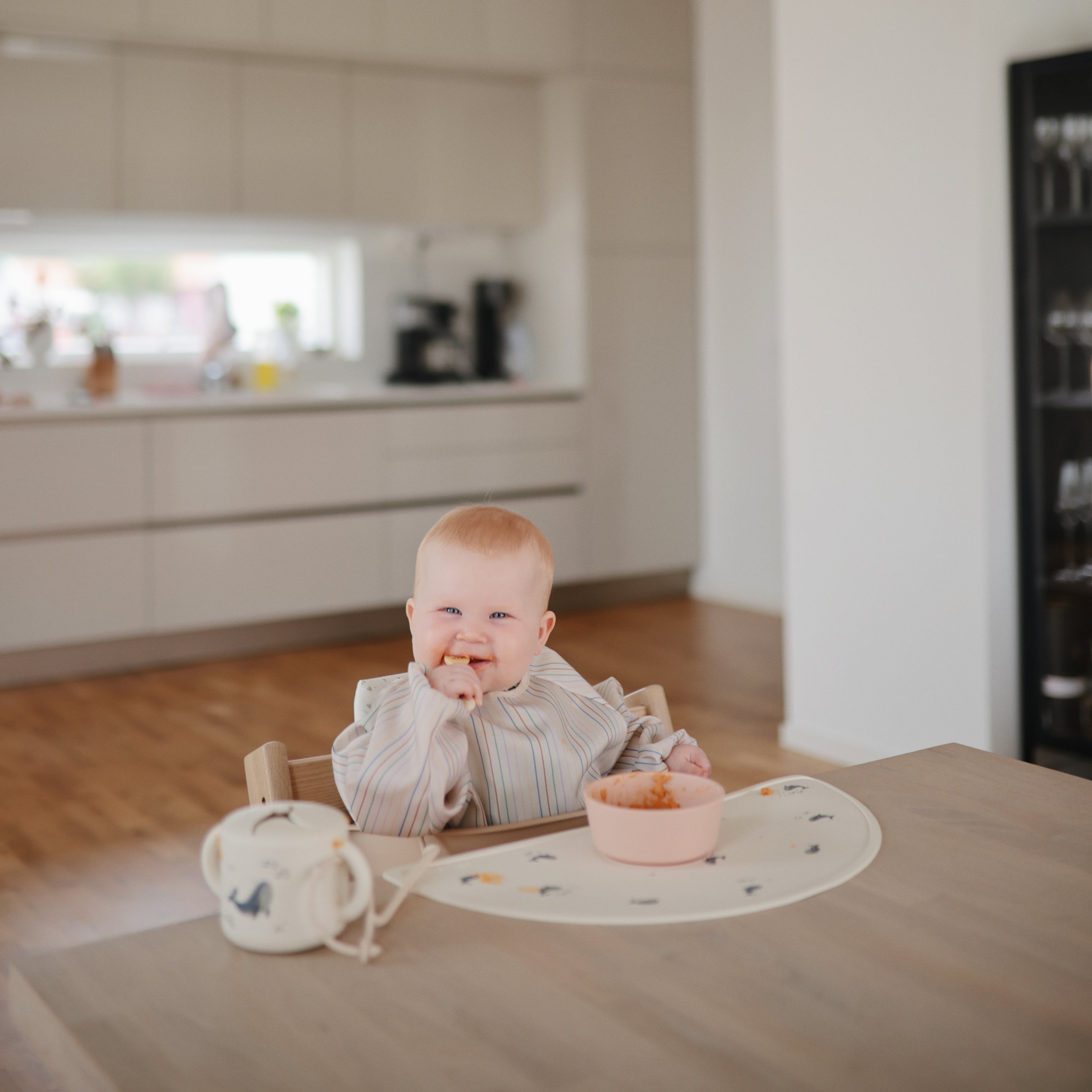 Deluxe Whales/Tradewinds Feeding Kit – Mushie